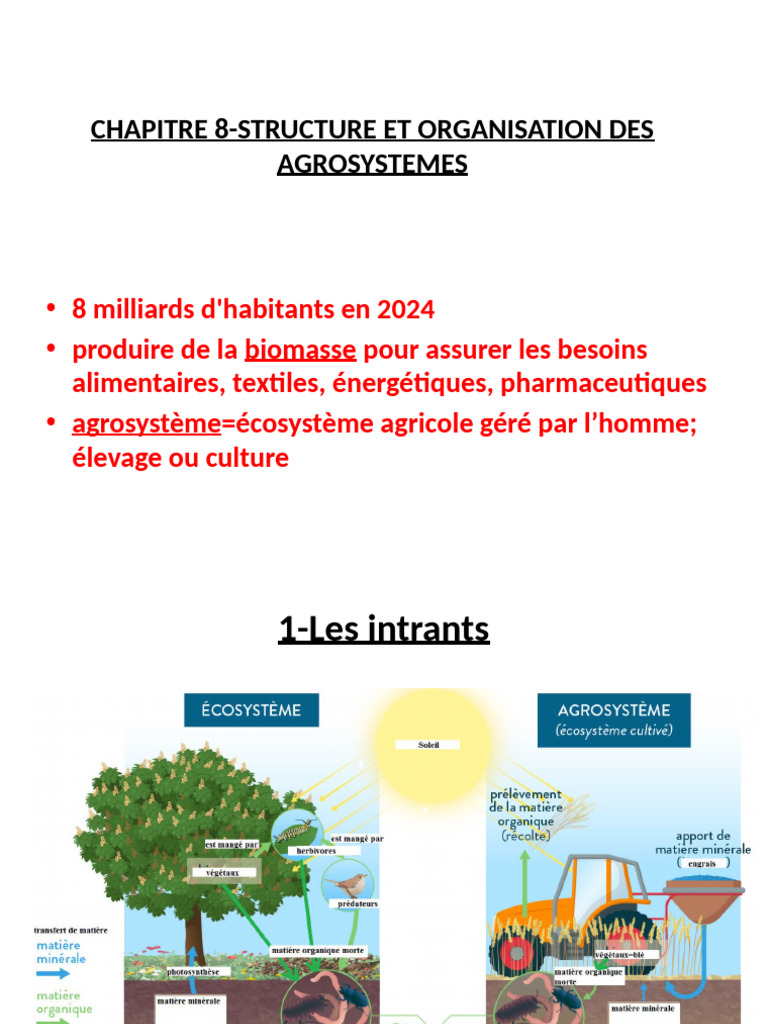 Cours Chap8-Agrosystème | PDF