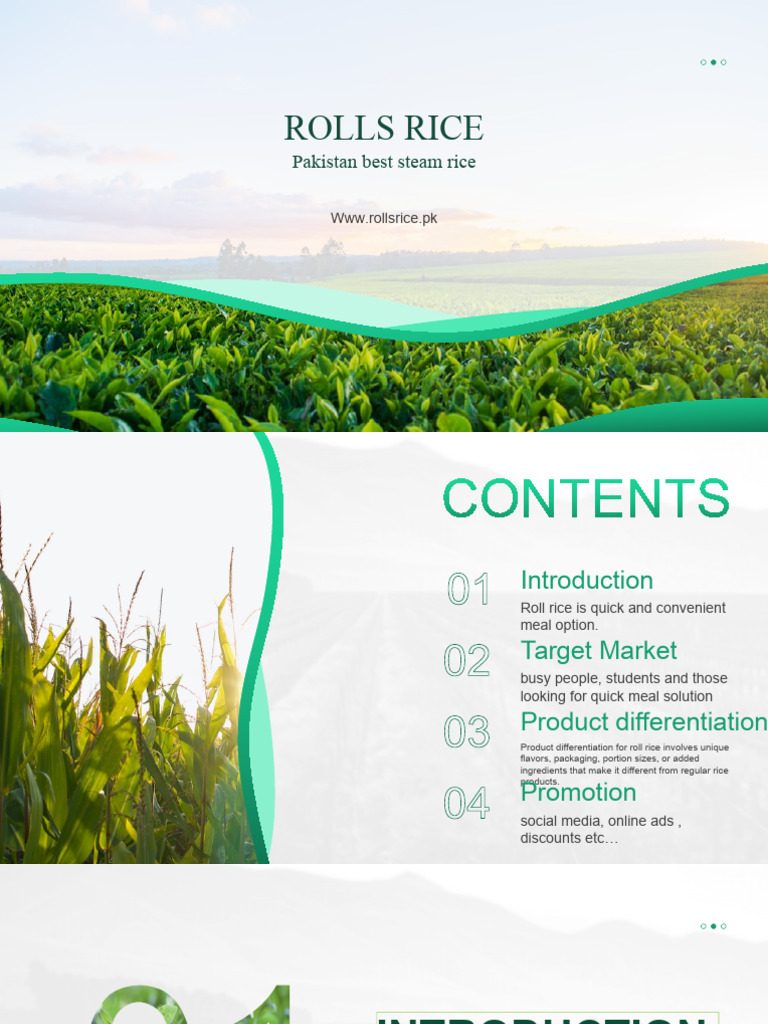 Presentation1 1 | PDF