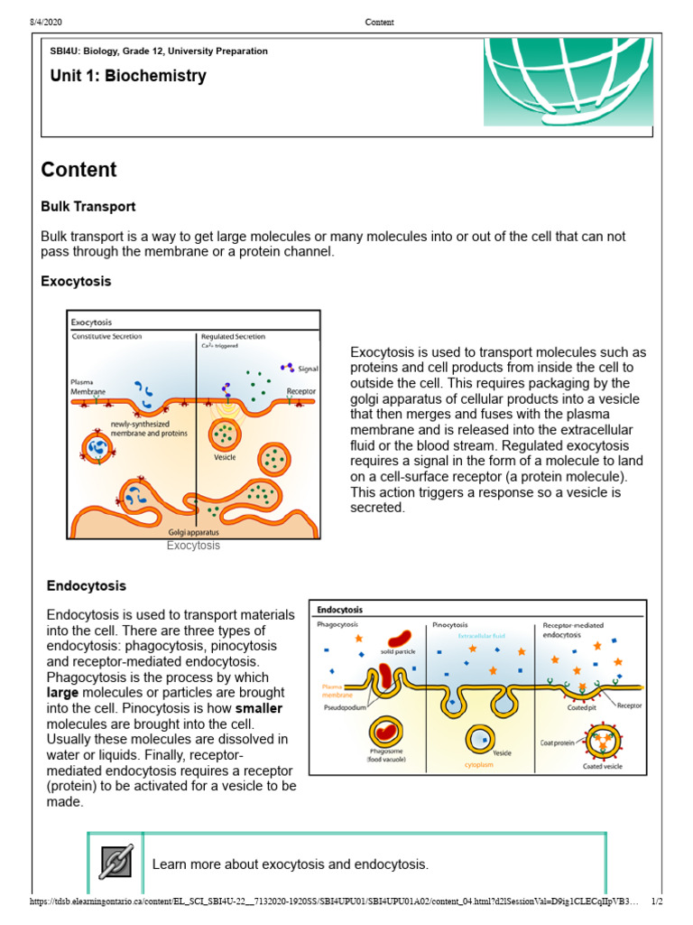 4 Bulk Transport BS .PDF | PDF