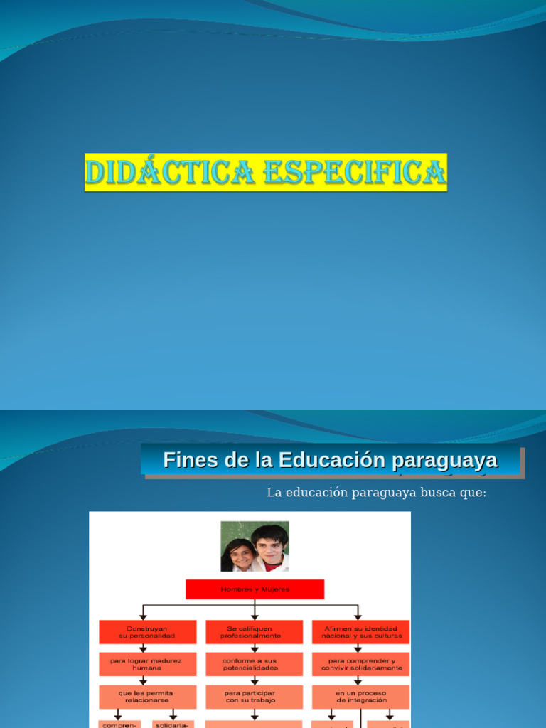 1º.1. Didáctica Especifica | PDF