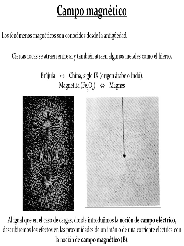 Campo Magnetico | PDF