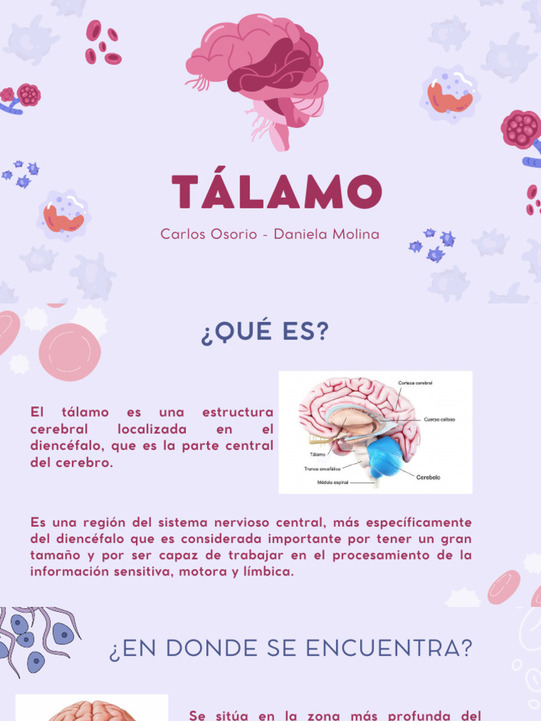 Talamo | PDF