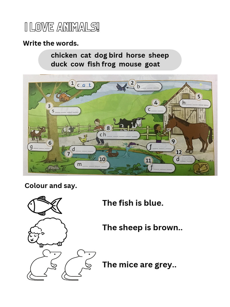 Activities For Starters | PDF