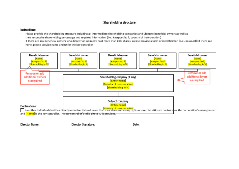 Shareholding Structure Template - New | PDF