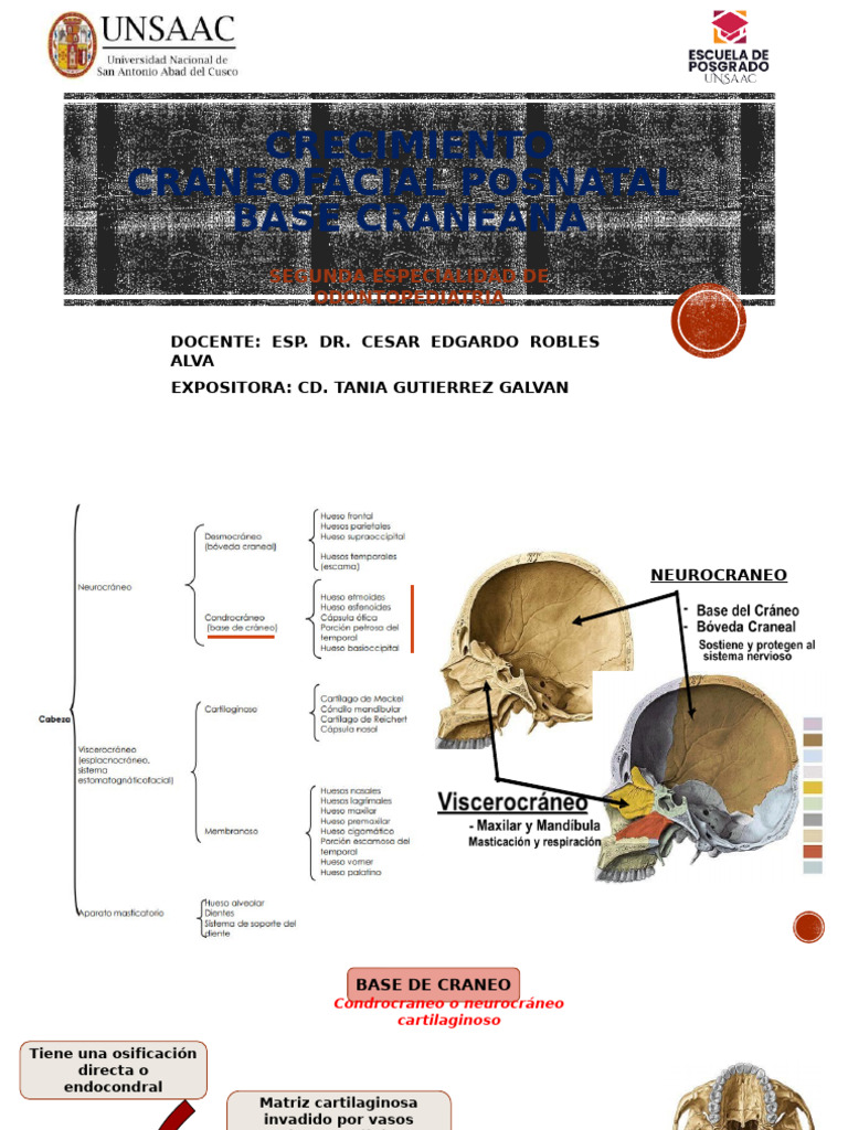Crecimiento Craneofacial Posnatal | PDF