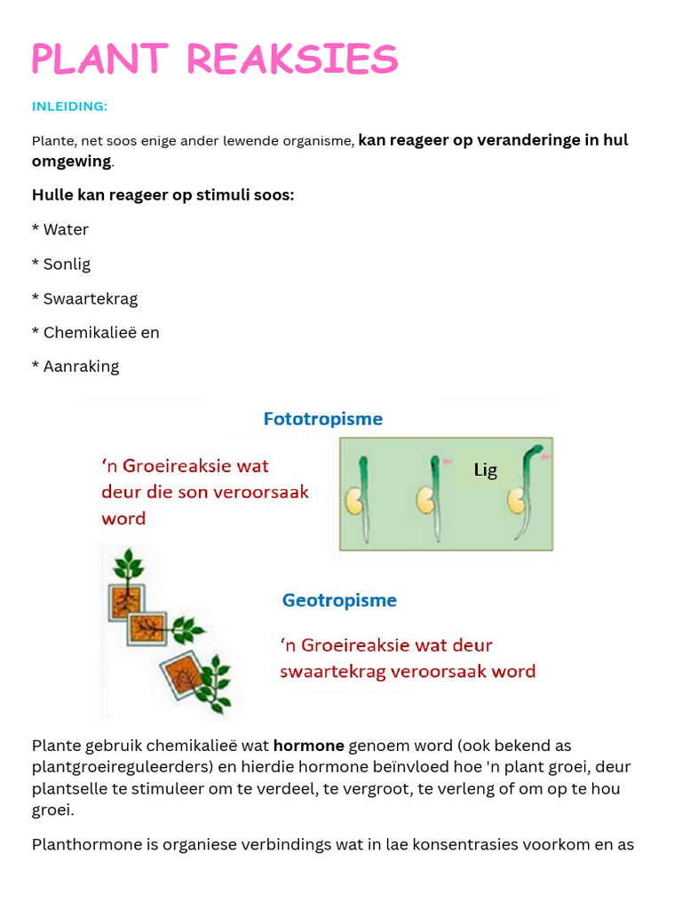 Plant Reaksies PDF | PDF