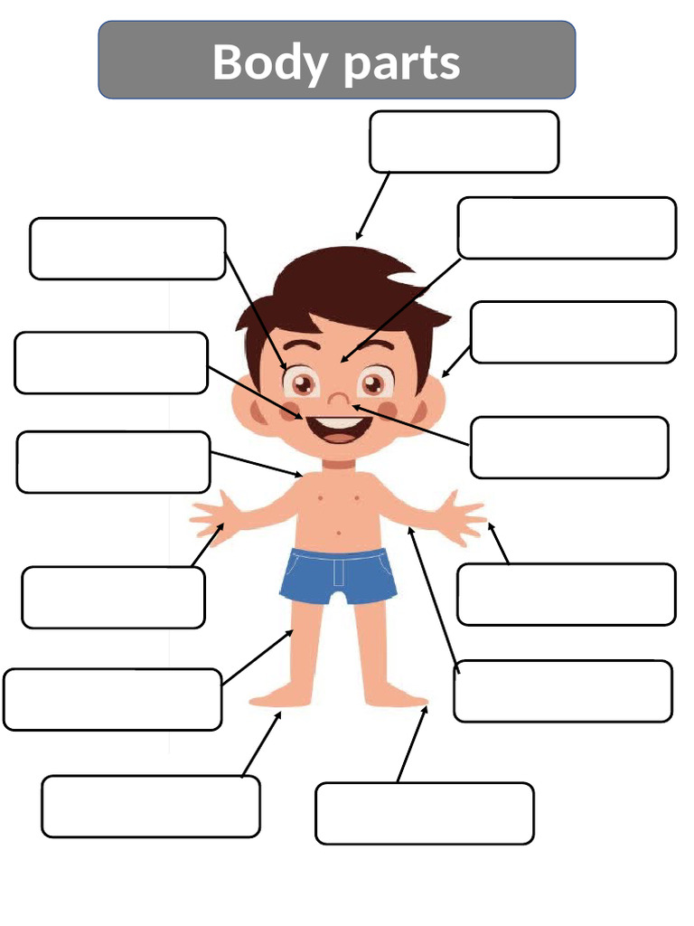 Body Parts of Boy | PDF