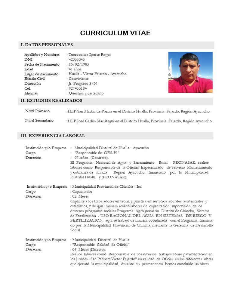 Curriculum Vitae 2 | PDF