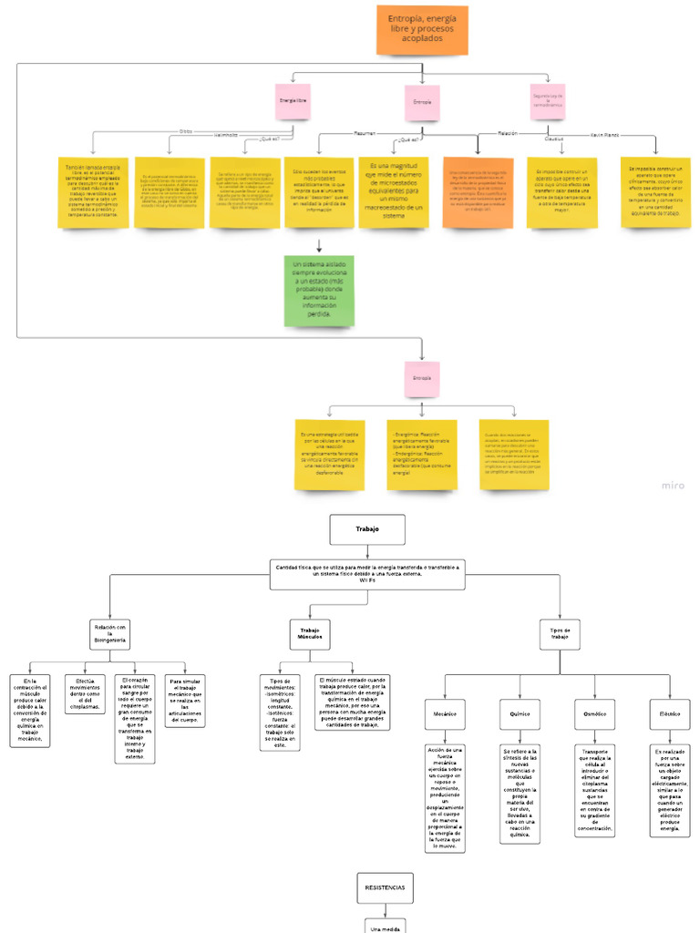 Ejercicio Mapa Conceptual en Equipos | PDF