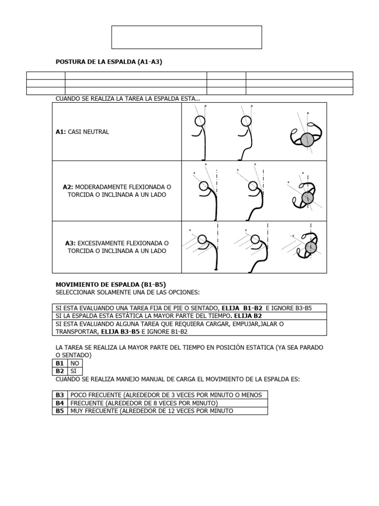 QUEC EVALUACION ERGONÓMICA | PDF