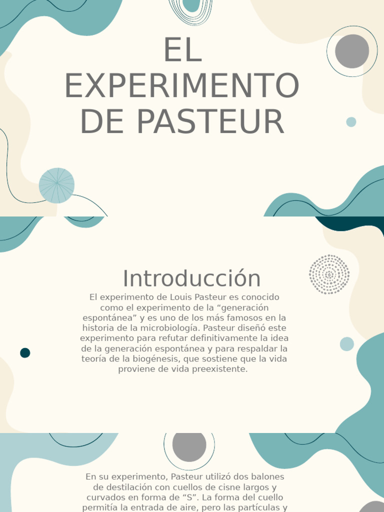 Subtle Shapes & Colors Education Pack For Students XL by Slidesgo | PDF