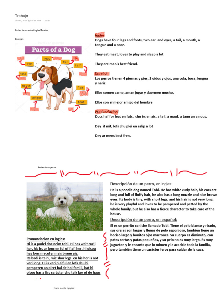 Partes de Un Perro 2 | PDF