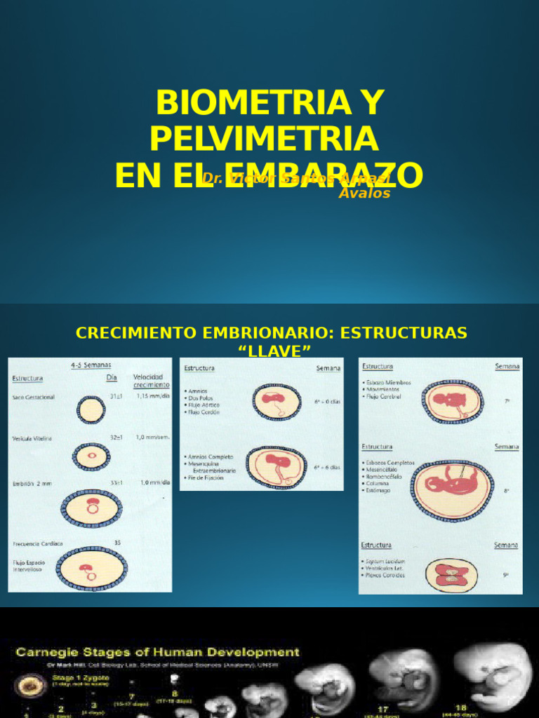 Biometria y Pelvimetria en El Embarazo | PDF