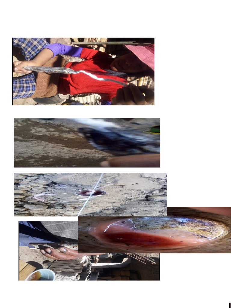 Haydee 3 | PDF
