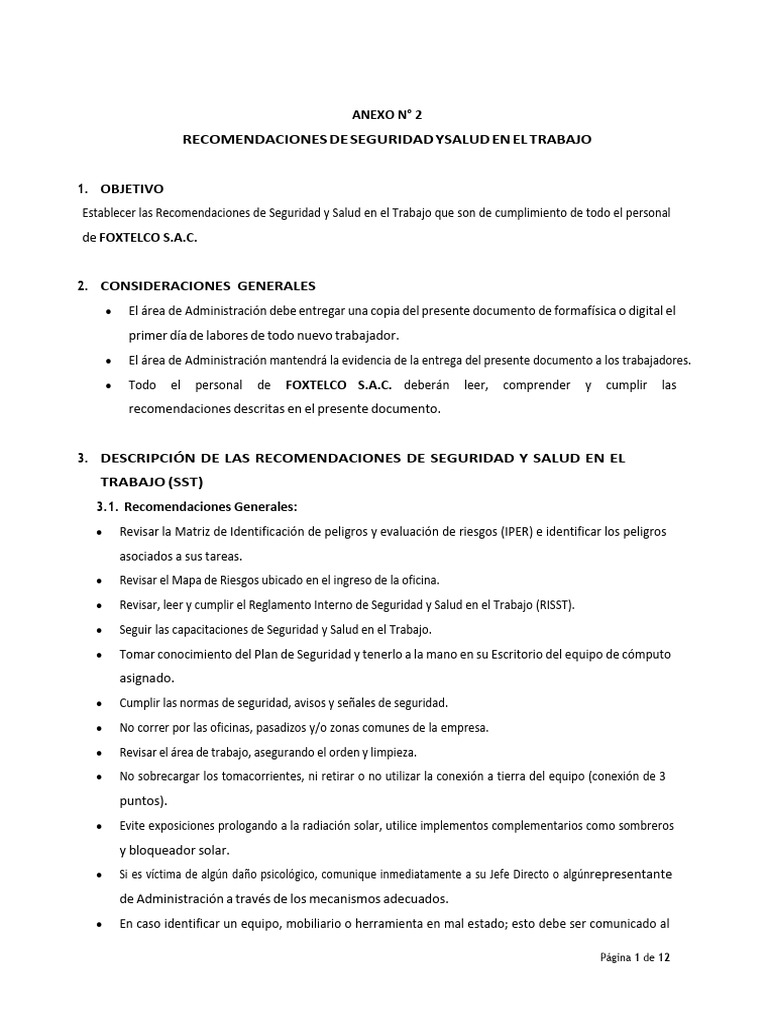 Anexo N° 2 - Recomendaciones de SST | PDF