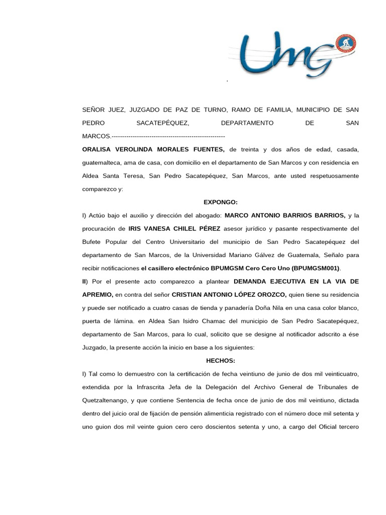 EJECUTIVO Iris Vanesa Chilel Pérez Modificado | PDF