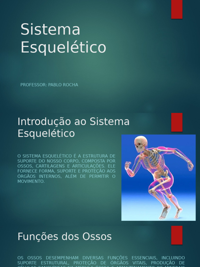Introducao Ao Sistema Esqueletico | PDF Introducao Ao Sistema Esqueletico | PDF