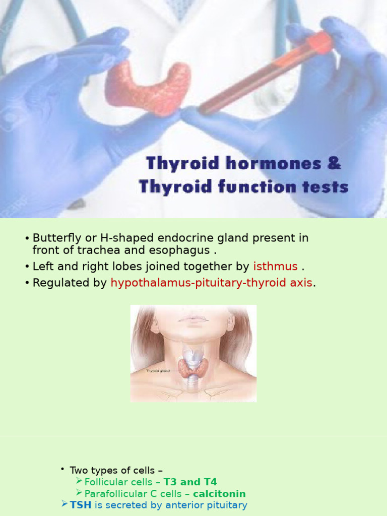 Thyroid Function Test | PDF