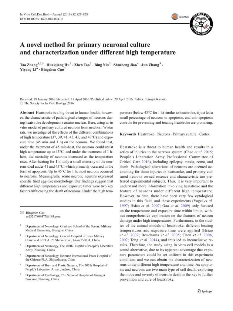 A Novel Method For Primary Neuronal Culture and Characterization Under ...