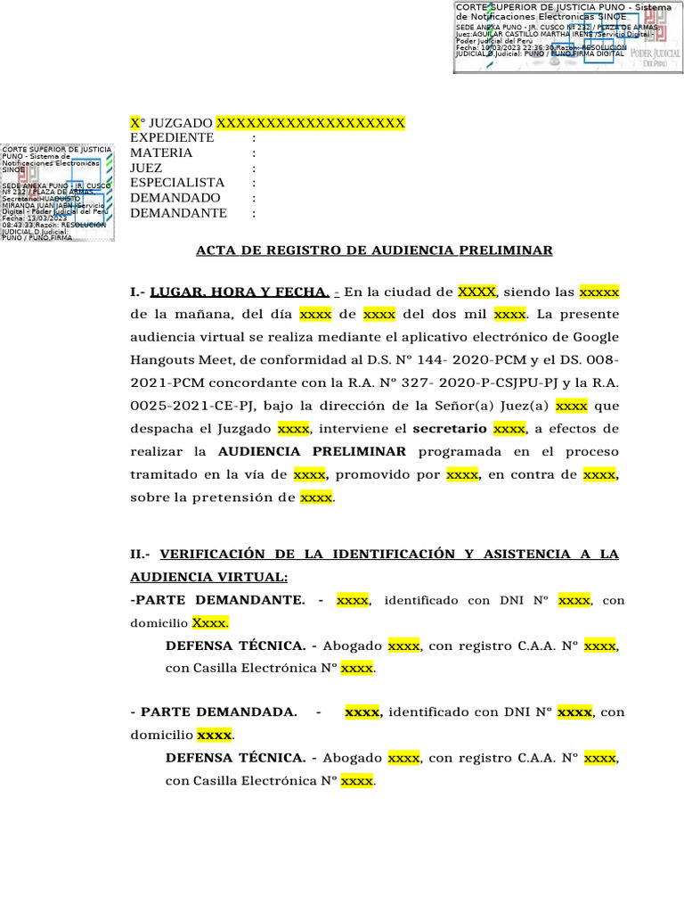 Esquema Acta de Audeincia Preliminar | PDF