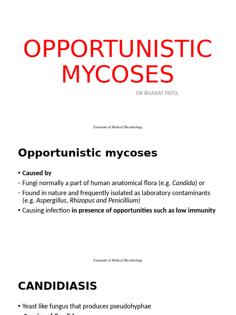 Opportunistic Mycoses | PDF