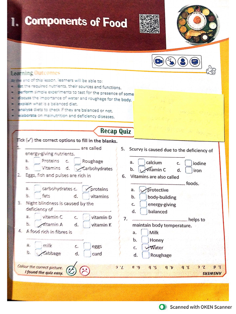 Science Components of Food | PDF