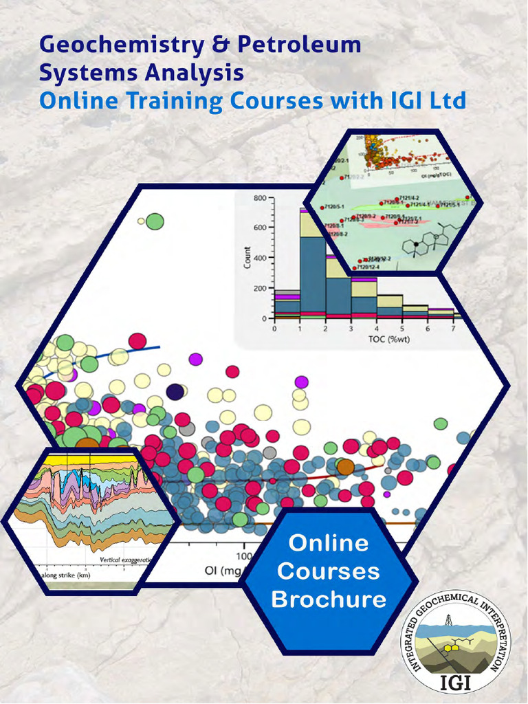 IGI Online Training Brochure 2036 | PDF