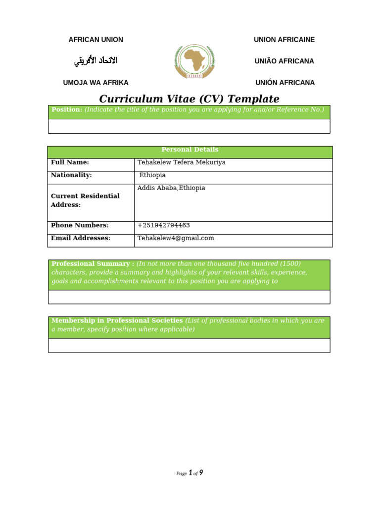 AU CV Template - ENGLISH | PDF | African Union