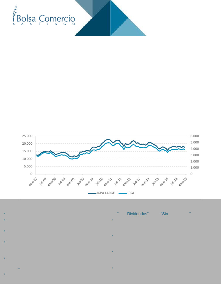04.ficha Técnica Índice IGPA LARGE | PDF | Bolsa | Capitalización de mercado