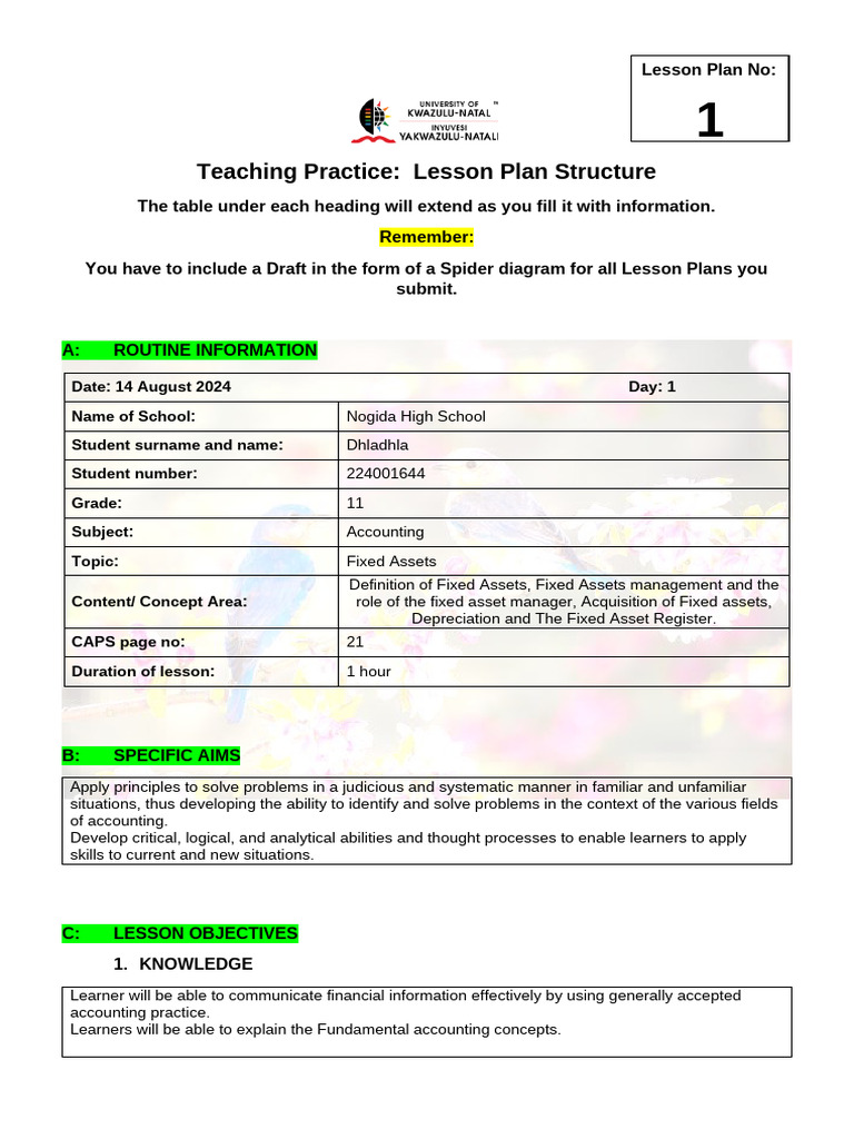 Dhladhla Nokwanda 224001644 LESSON PLAN PARTIAL 3 Accounting | PDF
