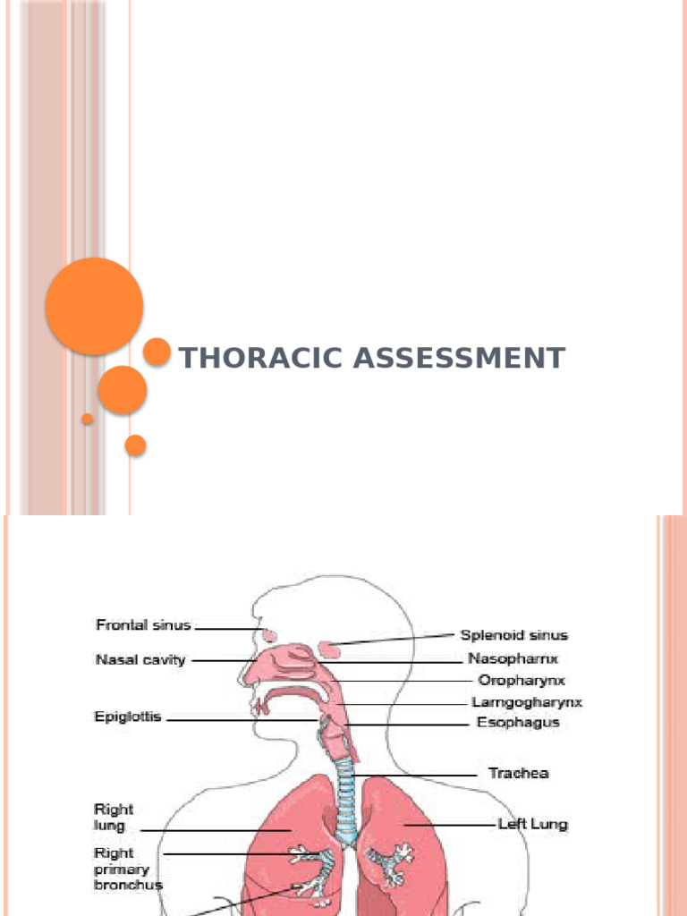 Thoracic Assessment | PDF | Heart Valve | Heart