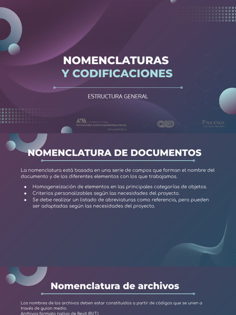 Nomenclaturas y Codificaciones | PDF