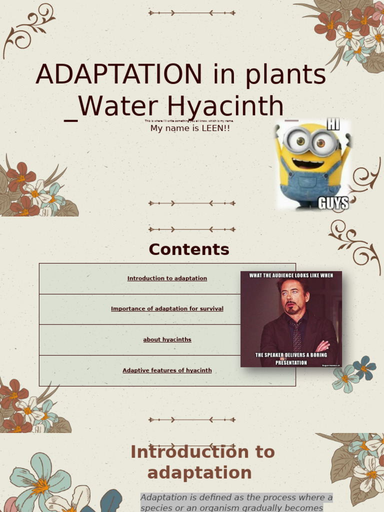 Adaptation | PDF
