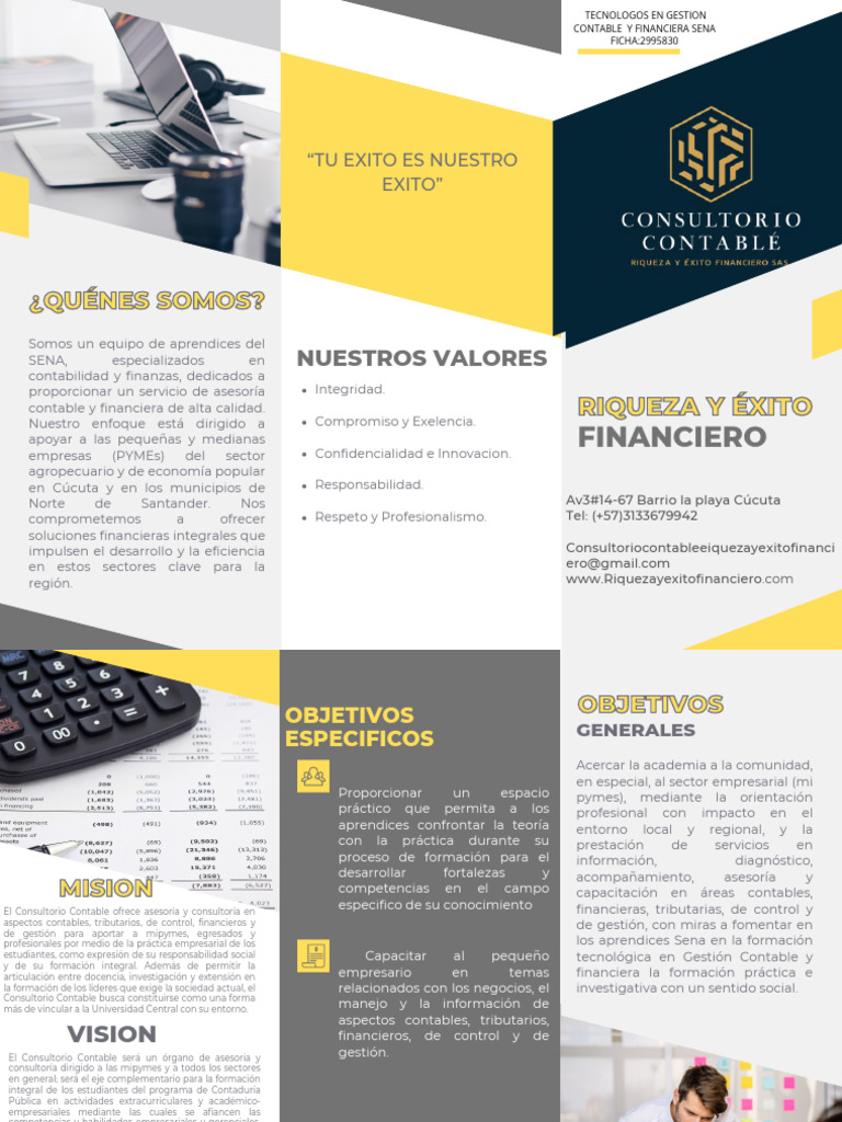 Folleto Brochure de Servicios Empresa Profesional Amarillo | PDF