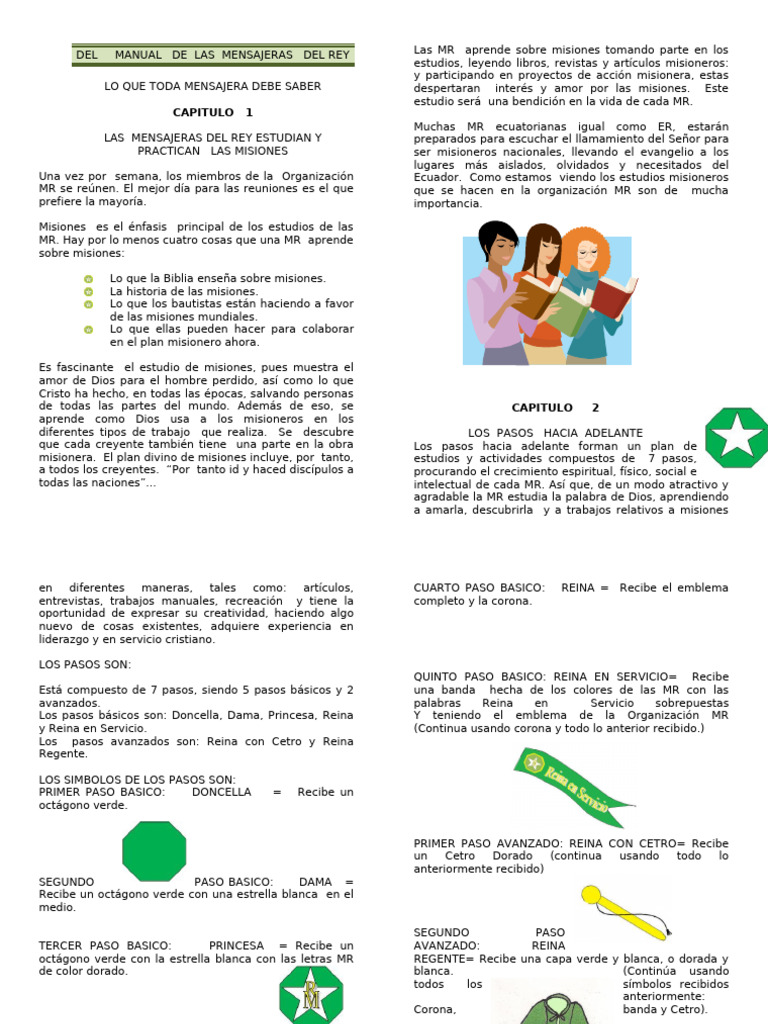 MR Manual Basico | PDF