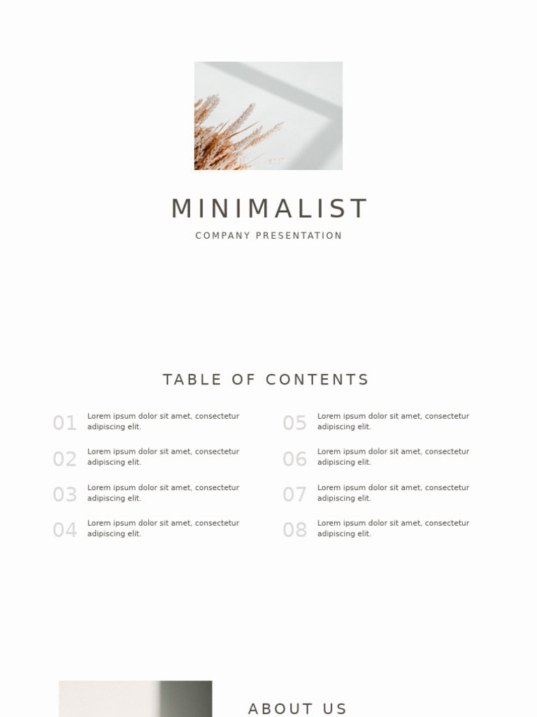 Minimalist | PDF