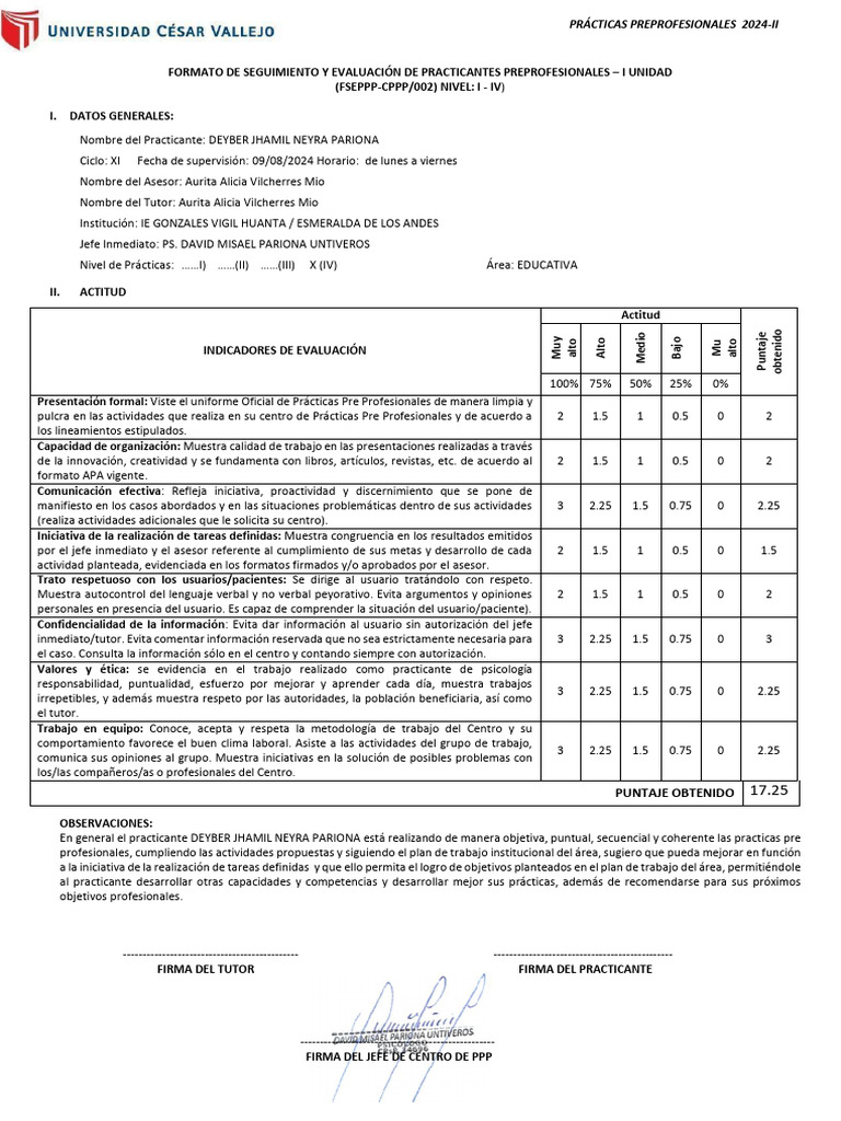 Formato Supervisión 2024 - Deyber Jhamil Neyra Pariona | PDF