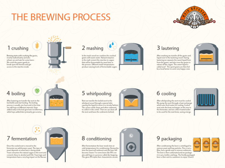 Brewing Infographicv3 | PDF