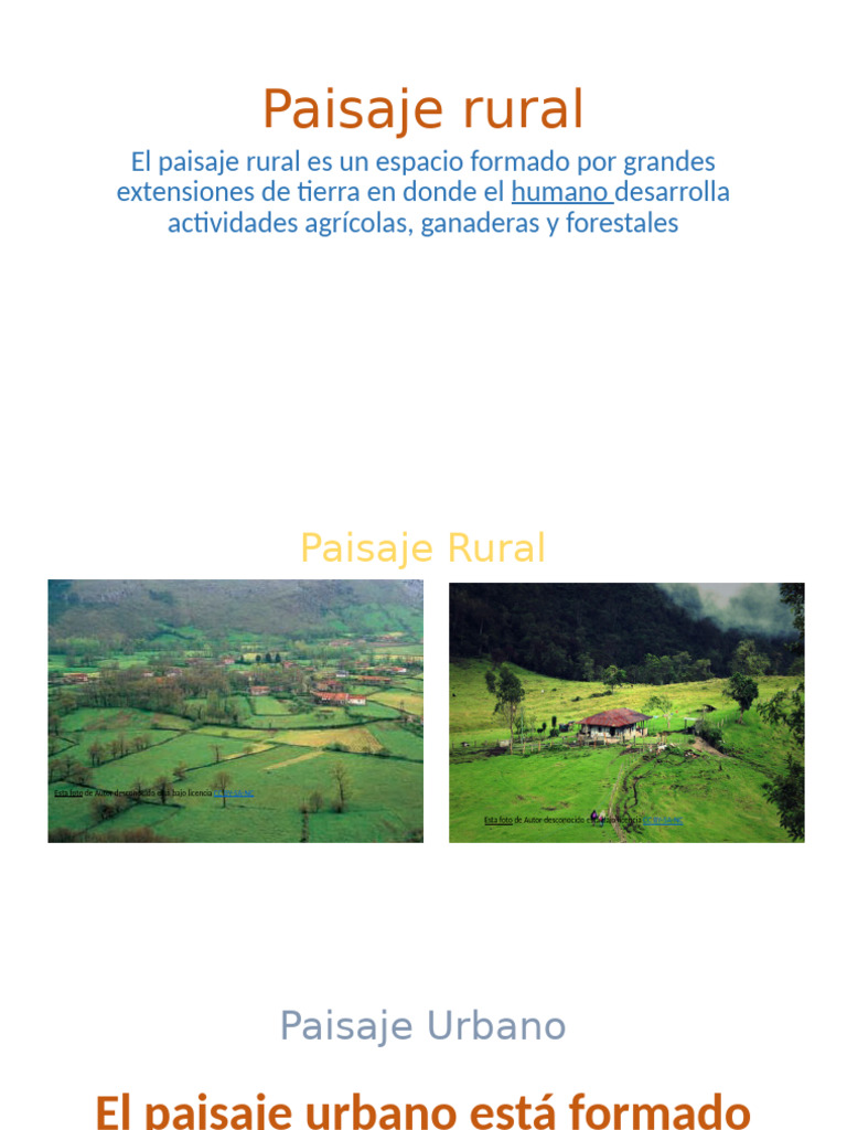 Paisaje Rural y Urbano para Niños de Primer Grado | PDF