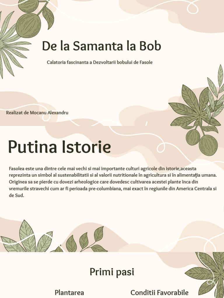 De La Samanta La Bob-1 | PDF