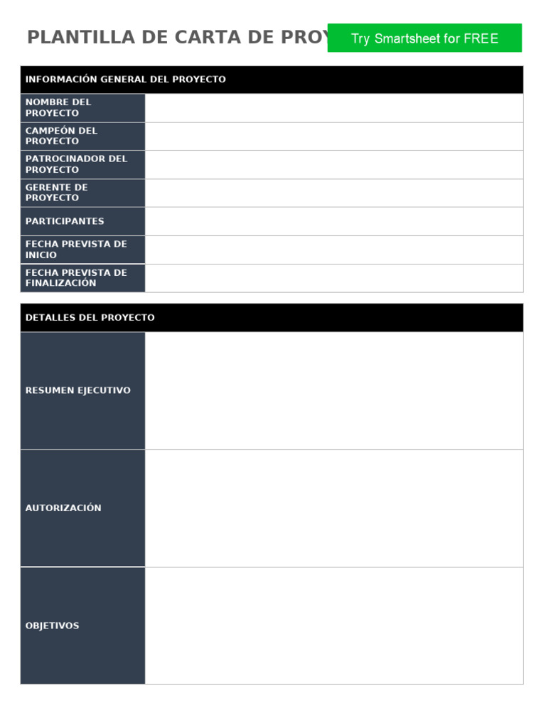 IC Agile Project Charter 27041 - WORD - ES | PDF