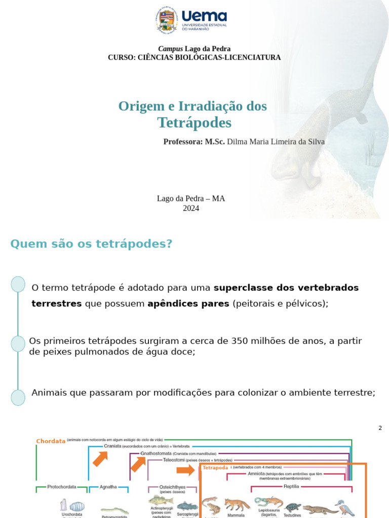 Origem dos Tetrápodes e Amniotas | PDF | Crânio