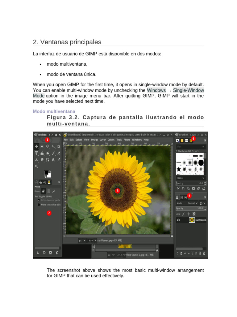 Ventana Gimp | PDF