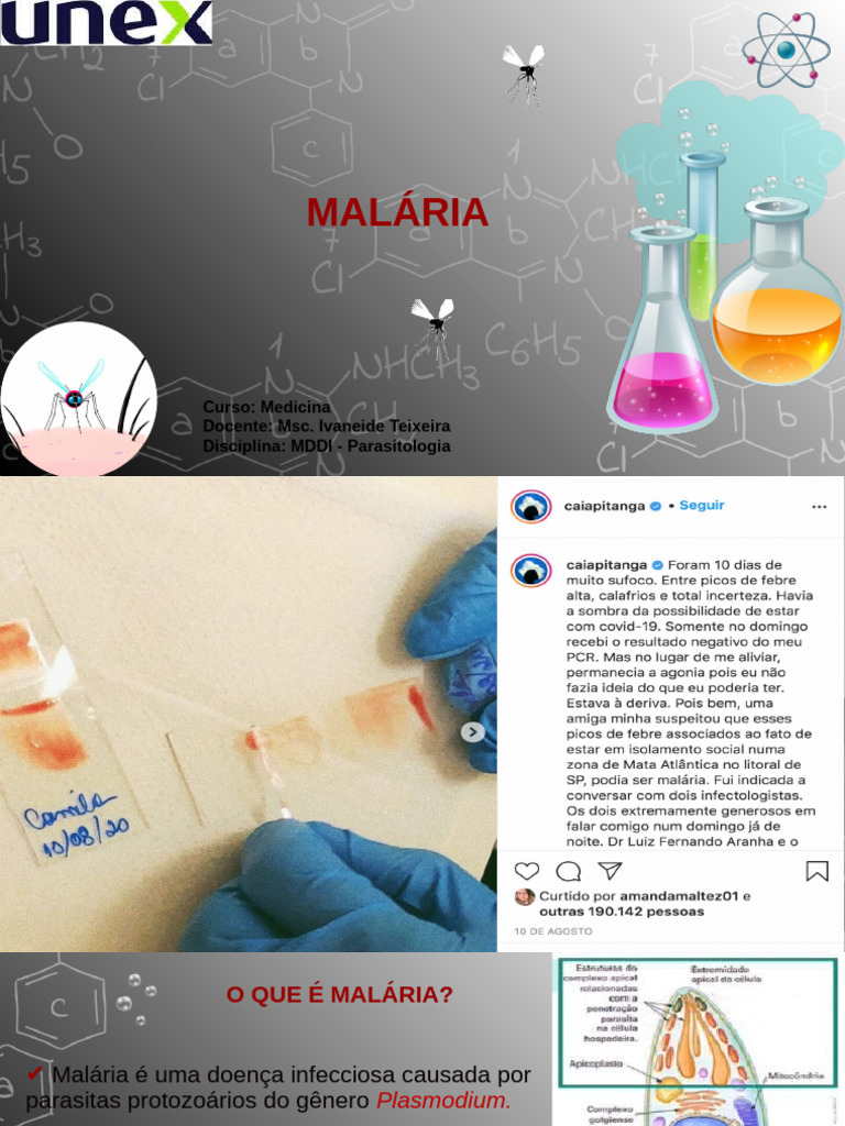 Aula 1 - Malária | PDF
