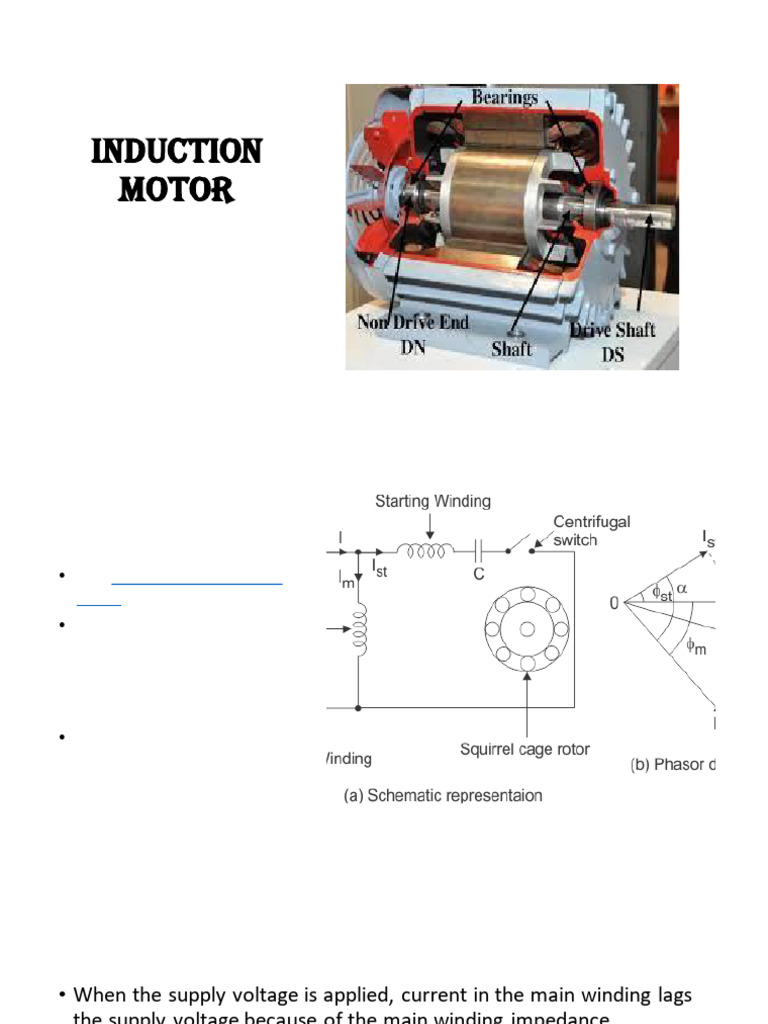 Induction Motor | PDF