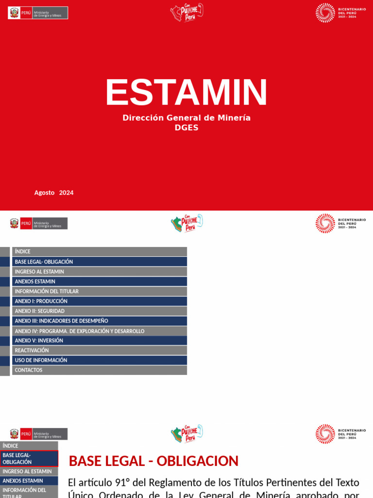 Full Estamin | PDF | Business