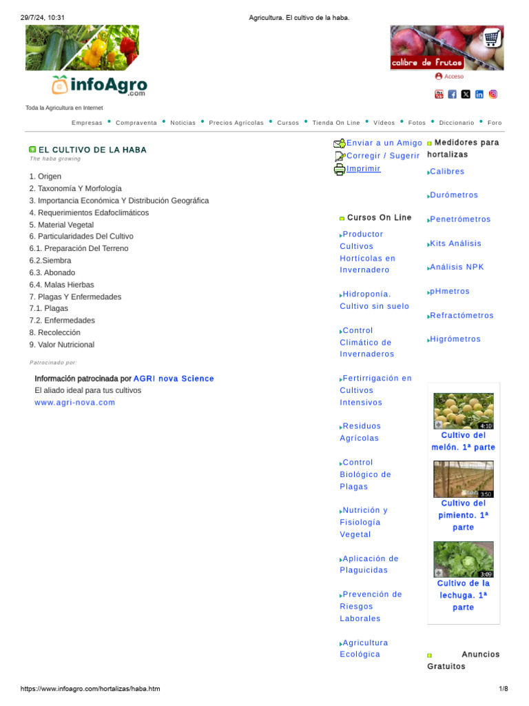 Agricultura. El Cultivo de La Haba | PDF