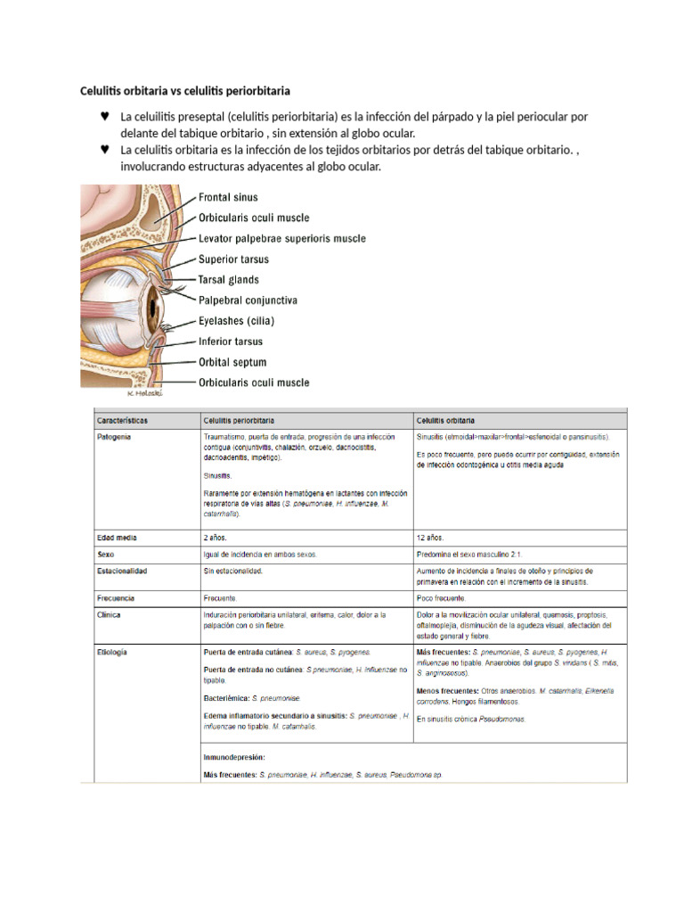 Celulitis Orbitaria Vs Celulitis Periorbitaria | PDF