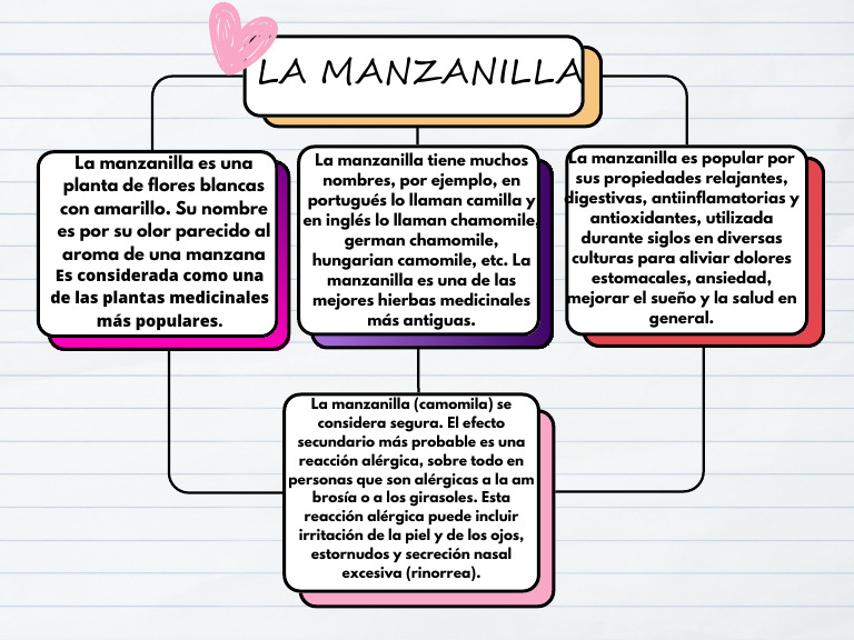 Mapa Conceptual Esquema Doodle Infantil Multicolor | PDF