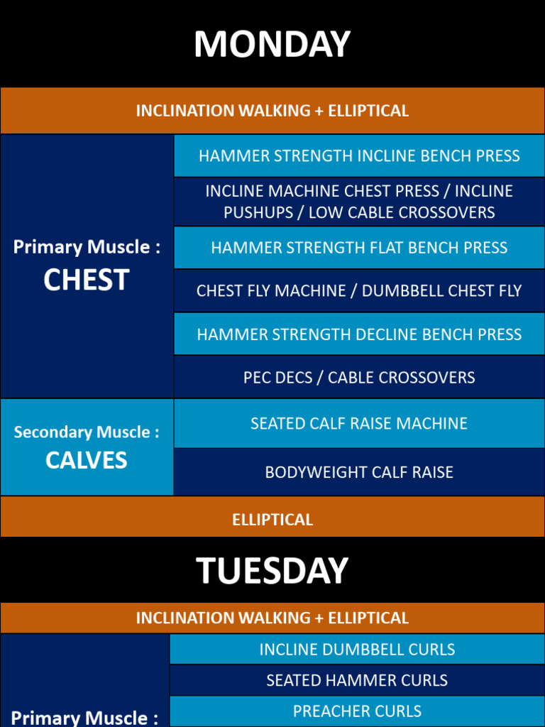 Veteran Workout Guide | PDF